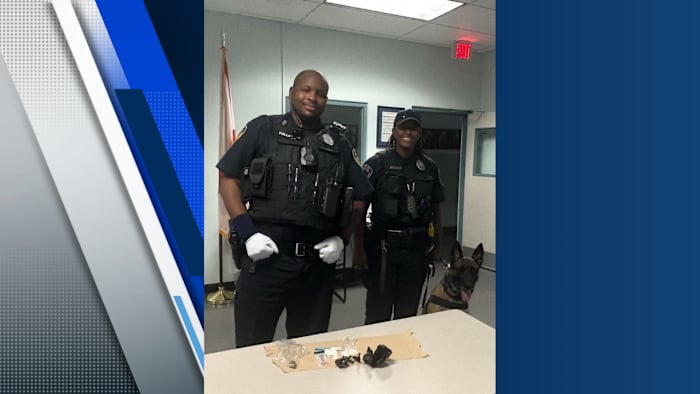 Traffic stop in Cocoa leads to arrest of 13-time convicted felon ...