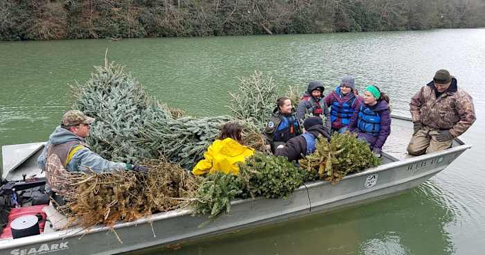 Drop off old Christmas trees at Claylor Lake State Park through Feb. 1 ...