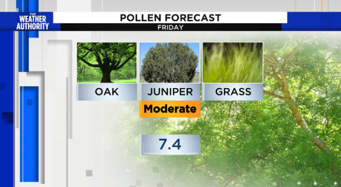 Grab the tissues: Northeast Florida’s pollen count on the rise