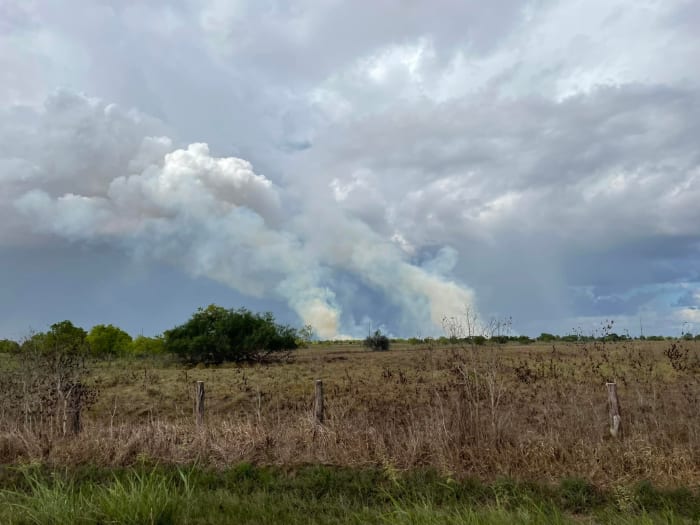 More than 100 acres burned during grass fire in Brazoria Co. Saturday ...