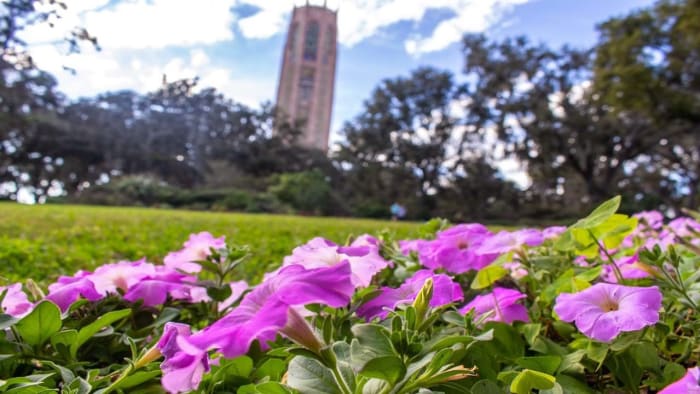 This strange Florida tower is a must-see before you die. Here’s why