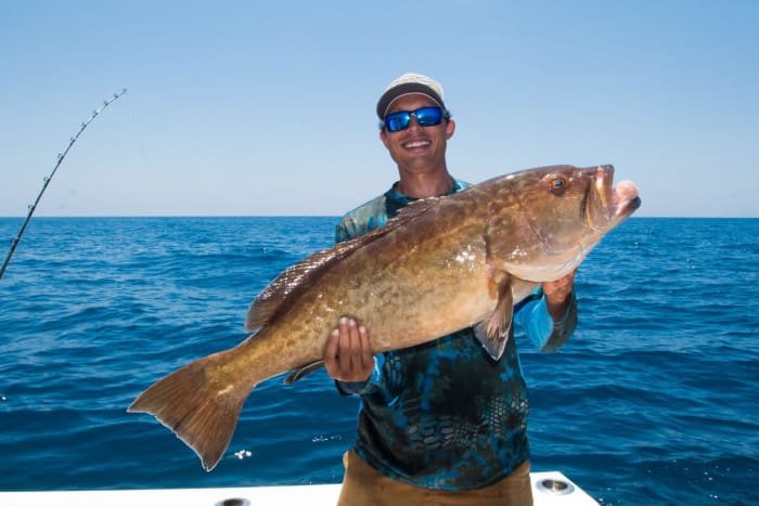 Gone fishin’: Grouper, hogfish, blueline tilefish & red porgy season ...