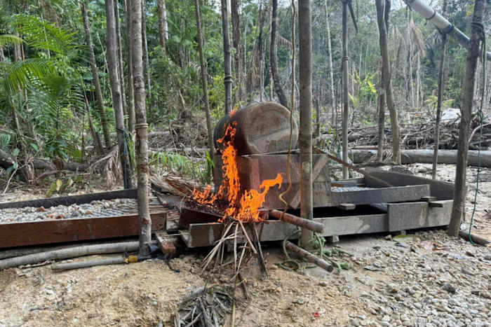 Interpol-backed police make nearly 200 arrests in Amazon region gold ...