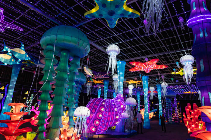 Where to find holiday lights shows in and around Houston