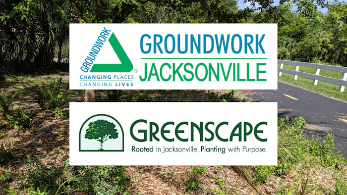Two Jacksonville tree advocacy nonprofits partner to plant 70 trees ...