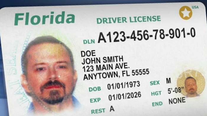 florida dvla