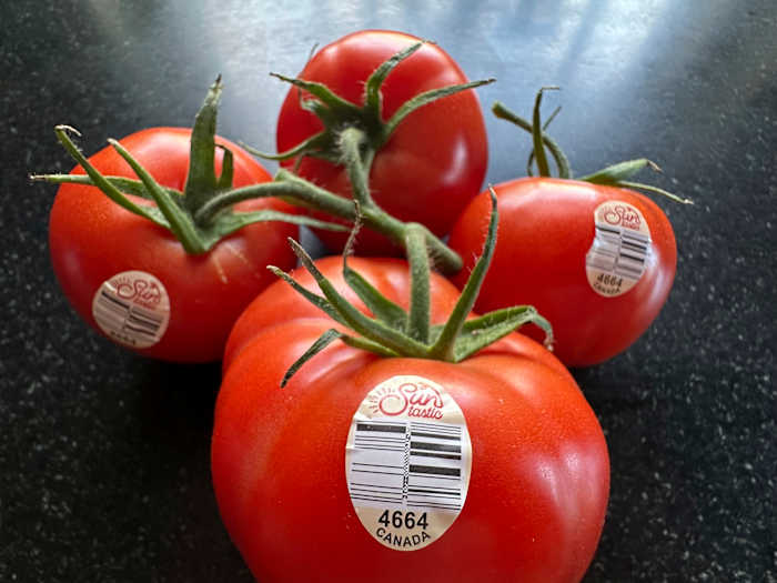 EXPLAINER: What are tariffs and how do they work?