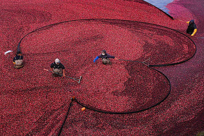 US wholesale inflation picks up slightly in sign that some price ...