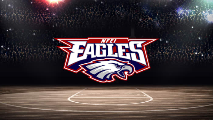 Girls high school basketball playoffs ‘25: NFEI wins semifinal, heads ...