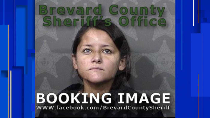 ‘Thinking of killing him for a while:’ Merritt Island woman accused of ...