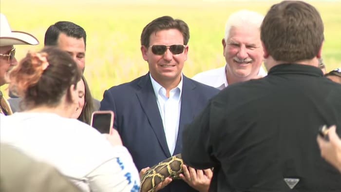Up to the challenge? Gov. DeSantis launches 2022 Florida Python Challenge
