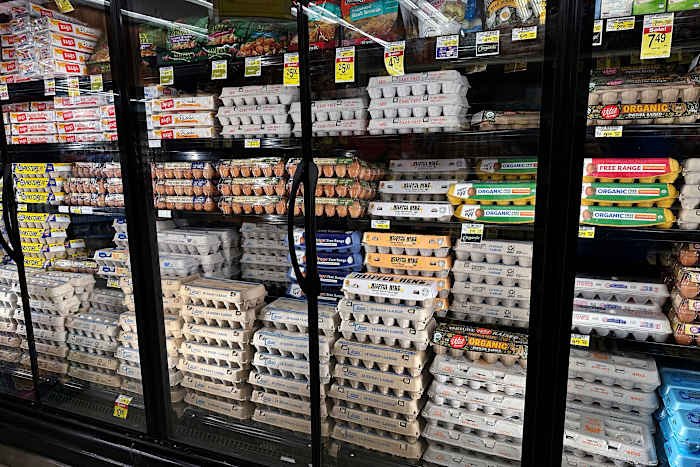Texas AG Ken Paxton secures settlements with egg producers following ...