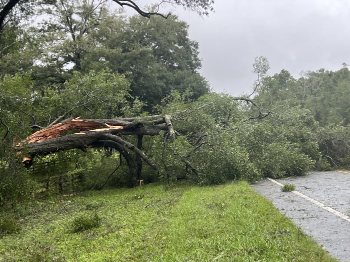 Columbia County extends deadline for Hurricane Idalia debris pick up