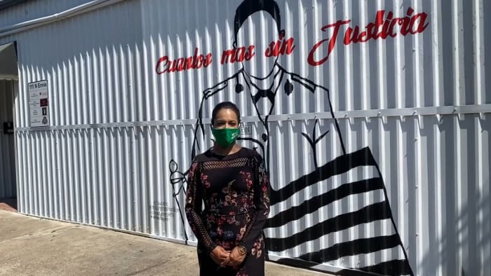 Voices of Houston: Meet Conchita Reyes, a Latina leader ‘planting seeds ...