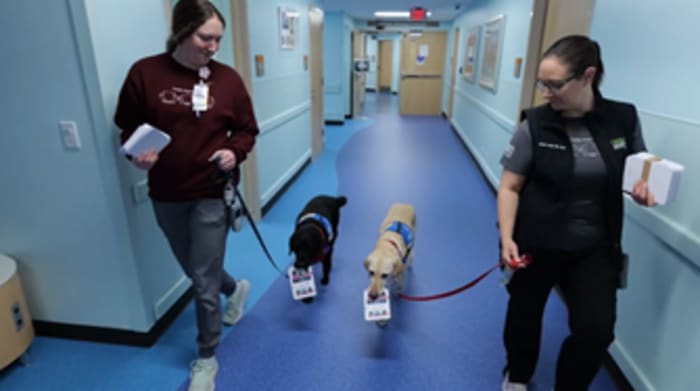 Children%E2%80%99s_Memorial_Hermann_Hospital