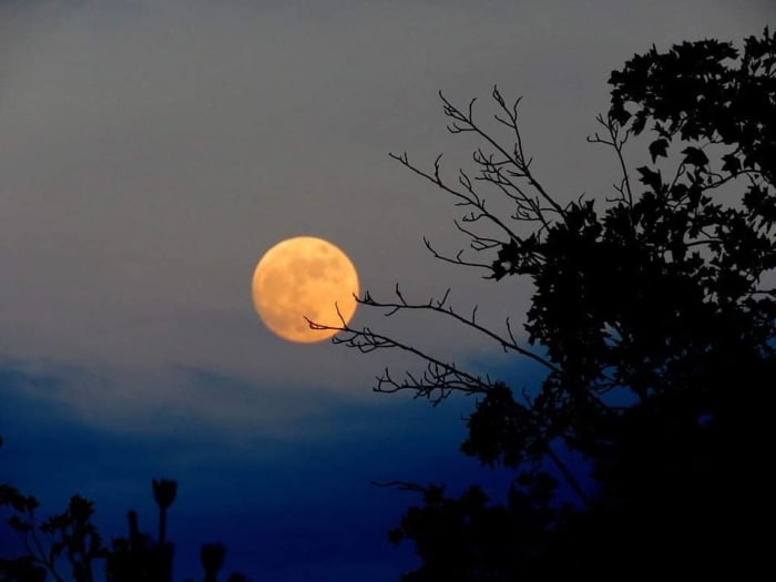PHOTOS: Final supermoon of 2021 shines brightly over Southwest, Central ...