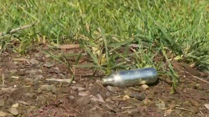 Coalition launches ‘Southwest Detroit Whippet Wipe Out Campaign’ to ...