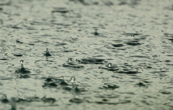 Rainy forecast: Is Florida’s wet season here?
