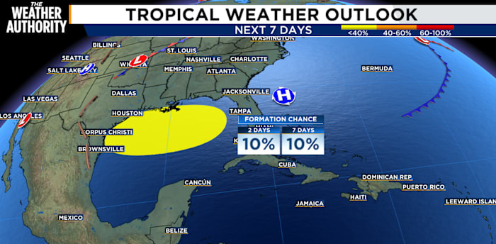 NHC continues to monitor low pressure tropical system along Gulf coast