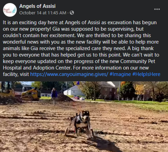Angels of Assisi begins work on new pet hospital and adoption center