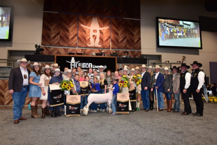 RODEO RECORDS! Four record-breaking sales at the Junior Market Lamb and ...