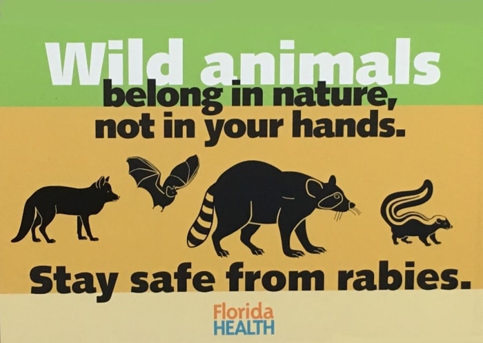 Rabies alert issued for Orange County region after cat tests positive ...