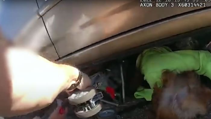 VIDEO: Florida police, good Samaritans free 3-year-old, woman stuck under car