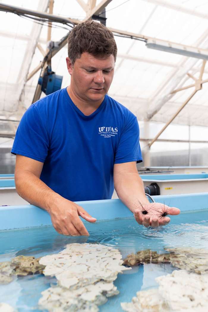 University of Florida teams up with The Florida Aquarium to restore ...
