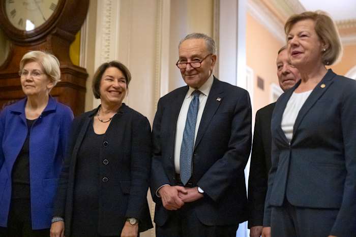 Democrats stick with Schumer as leader. Their strategy for countering ...