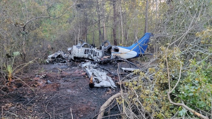 Man, woman, dog injured in small plane crash outside Northeast Florida ...
