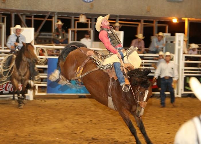 Saddle up for the 75th Pasadena Livestock Show and Rodeo, kicking off ...