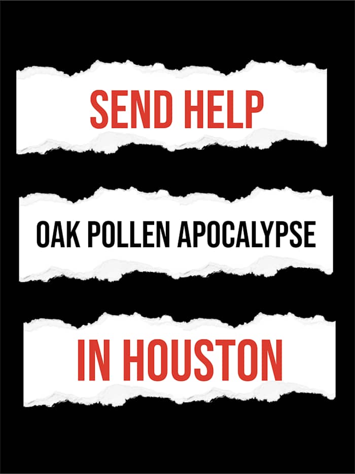 SEND HELP: Oak pollen apocalypse in Houston