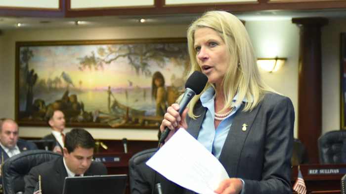 Debbie Mayfield can be on the ballot for Florida Senate special ...