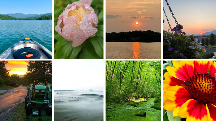 📷We’re showing off your amazing nature photos for National Nature ...