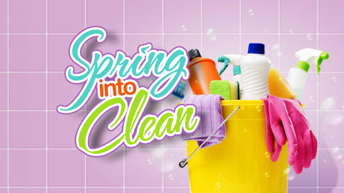 Spring into Clean: Helping you freshen up & organize your home
