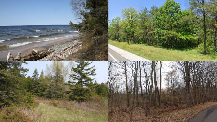 Michigan DNR to auction off 95 parcels of land this fall: Here’s how to bid