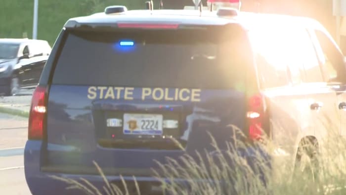 Michigan State Police troopers shoot, kill man in tree stand