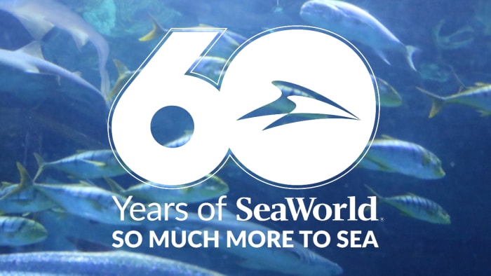 SeaWorld set to introduce new shows, attractions during 60th ...