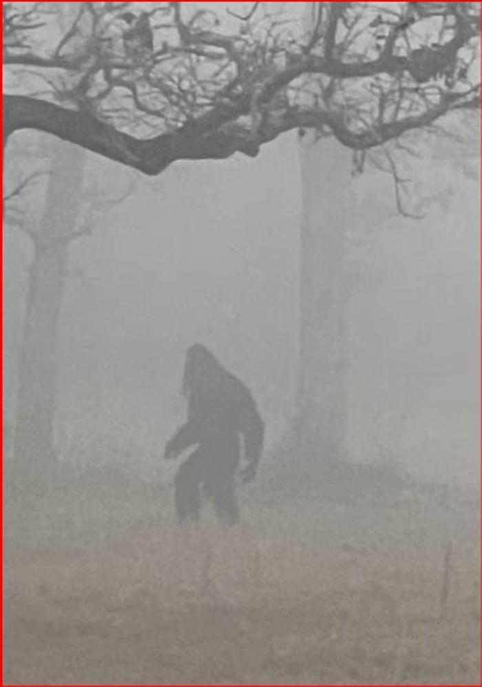 How long Houston’s monster fog will last