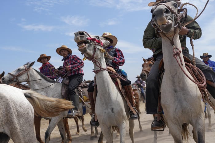 Guyana's Rupununi Rodeo celebrates local cowboy culture