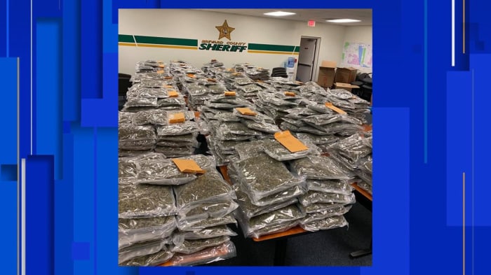 🔒 770 pounds of ‘high-grade marijuana’ found in Brevard County
