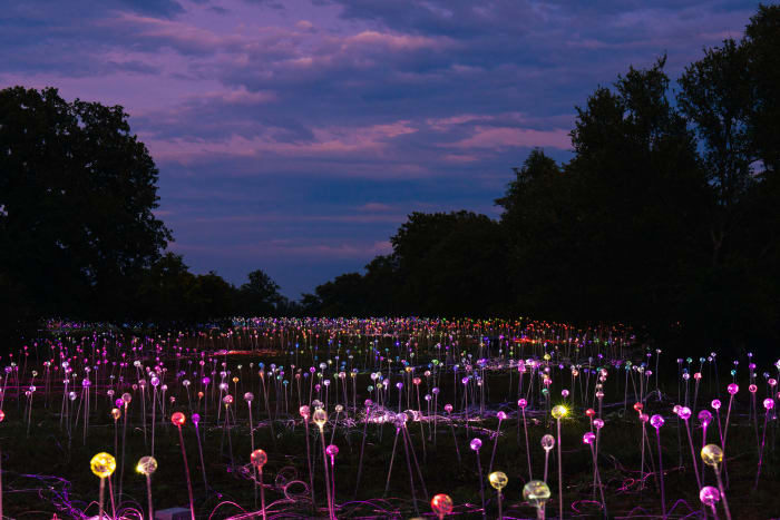 16-acre immersive light installation debuting soon at Lady Bird Johnson ...