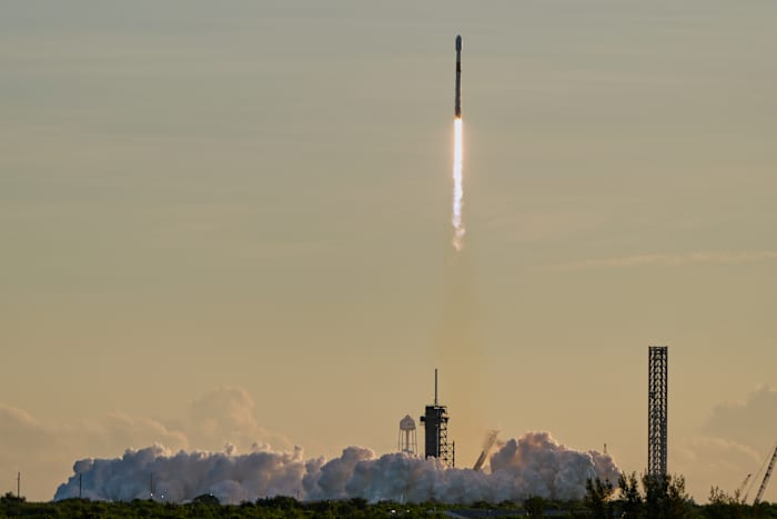 SpaceX launches rocket from Starbase in Texas