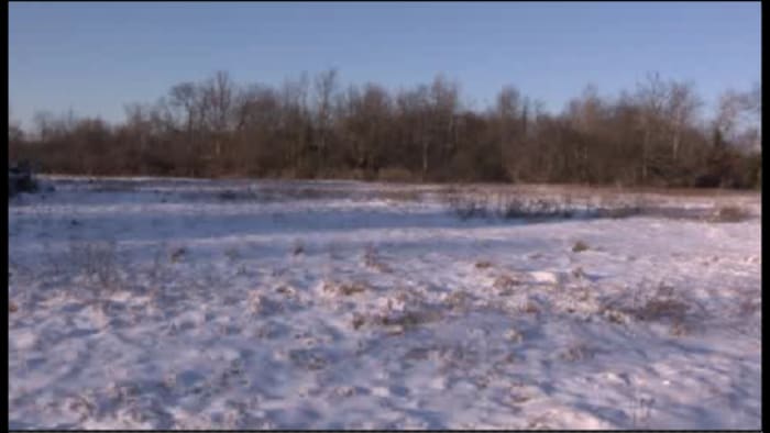 Mob boss Tony Zerilli: Hoffa killed, buried 20 miles from where he ...