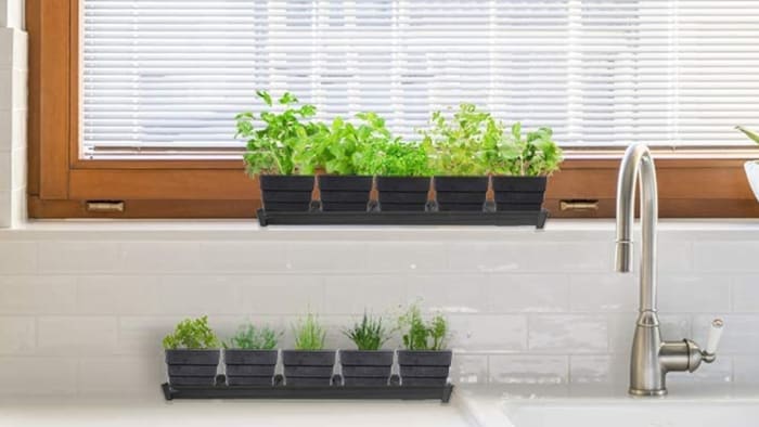 This windowsill garden herb kit comes with everything you need to grow ...