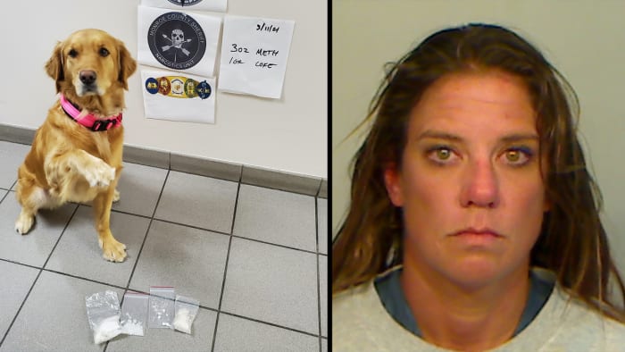 Ruff arrest: K9 busts alleged drug trafficker in Florida Keys