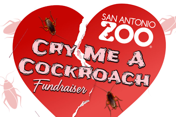 ‘Cry Me A Cockroach’ fundraiser returns to San Antonio Zoo for ...