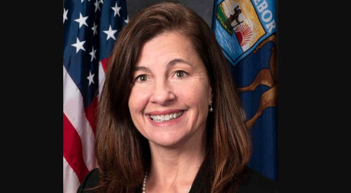 Michigan state lawmaker enters crowded U.S. House race as Democrats aim ...