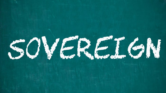 What is a Sovereign Citizen and what rights do they have?