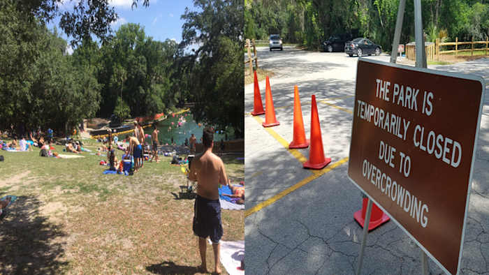 5 local springs to visit if you can’t get a Wekiwa Springs reservation